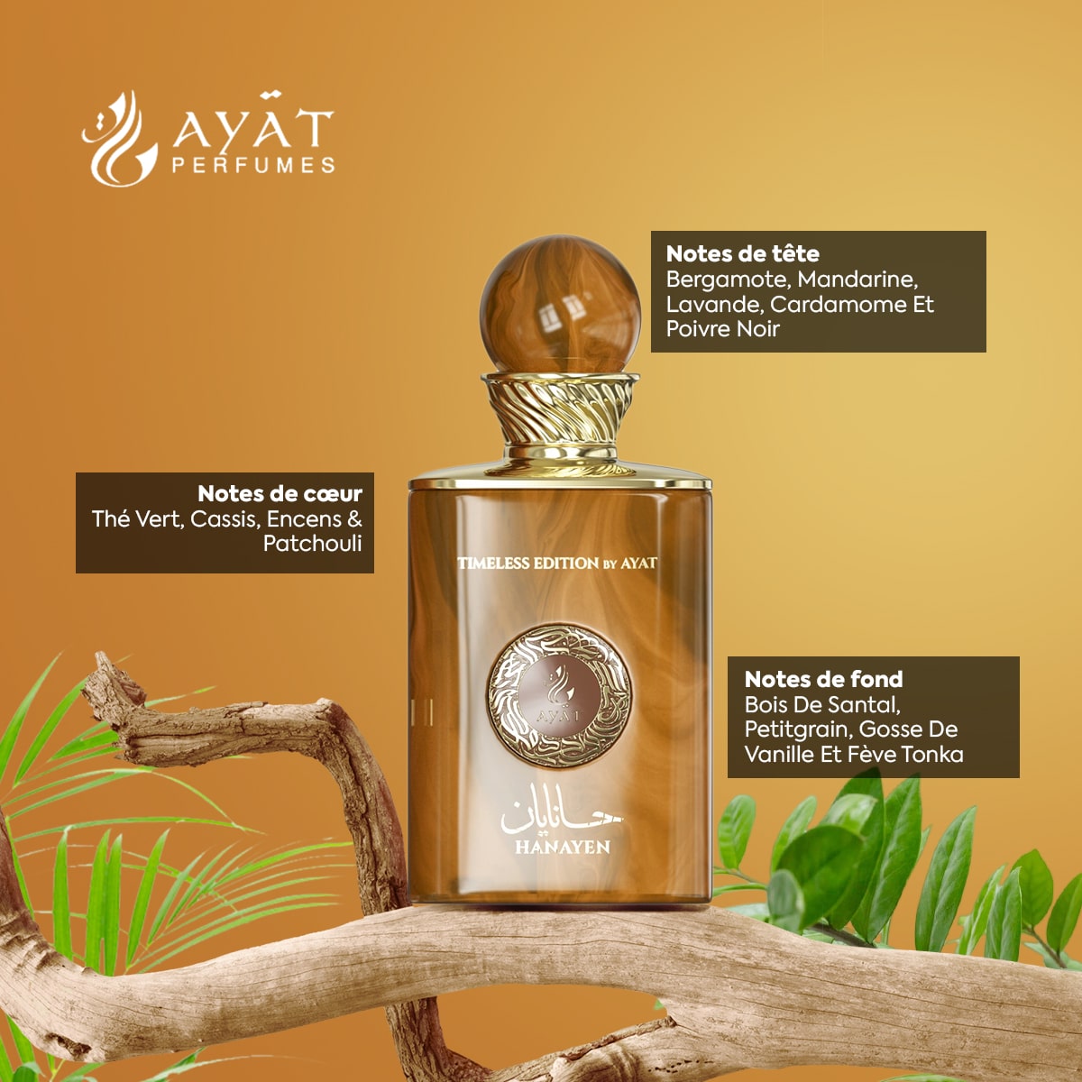 Eau de Parfum Hanayen – Ayat Perfumes – 100 ml : My Perfumes Home